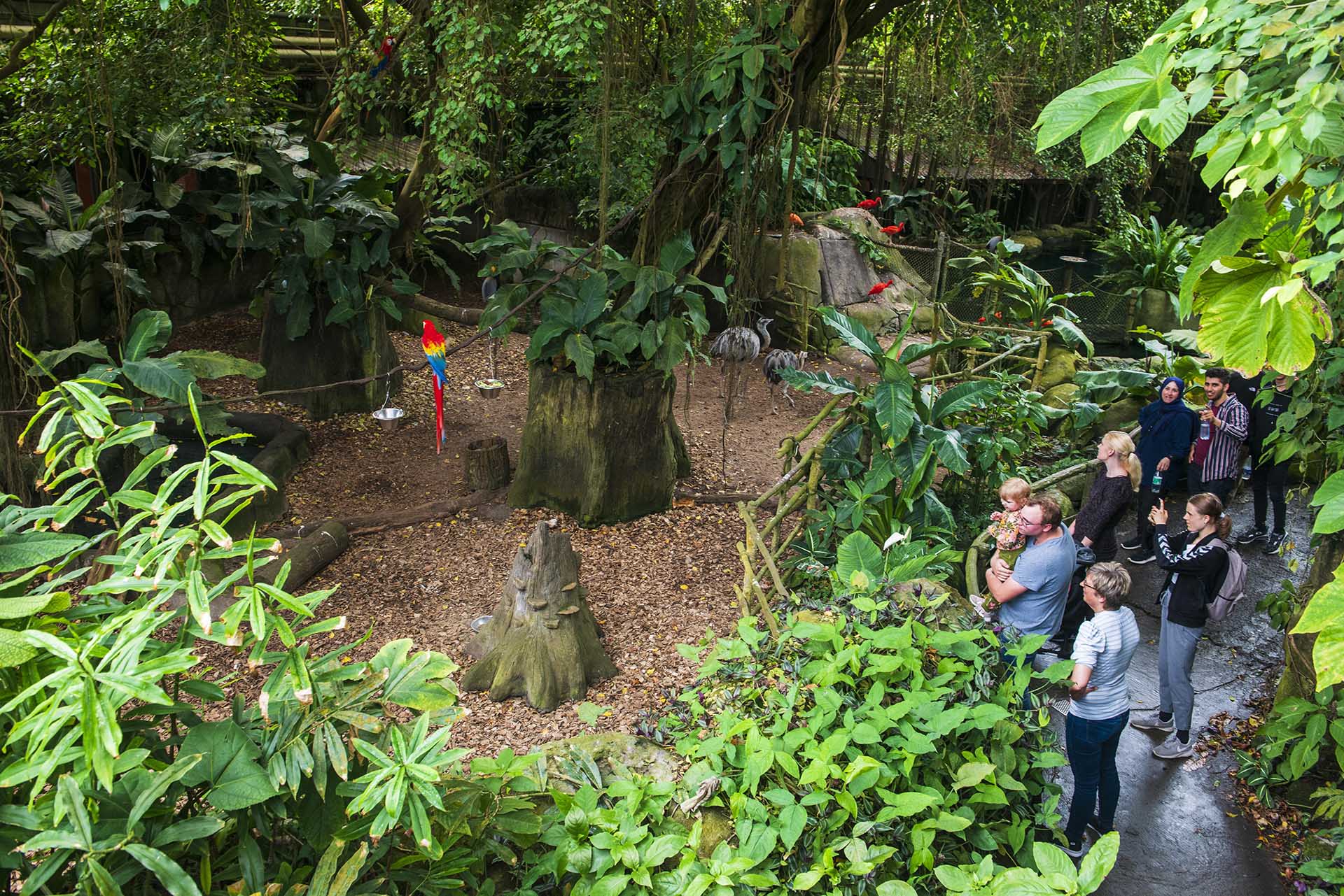 Randers Regnskov: Tropene i Danmark - Reisebloggen Det vonde liv